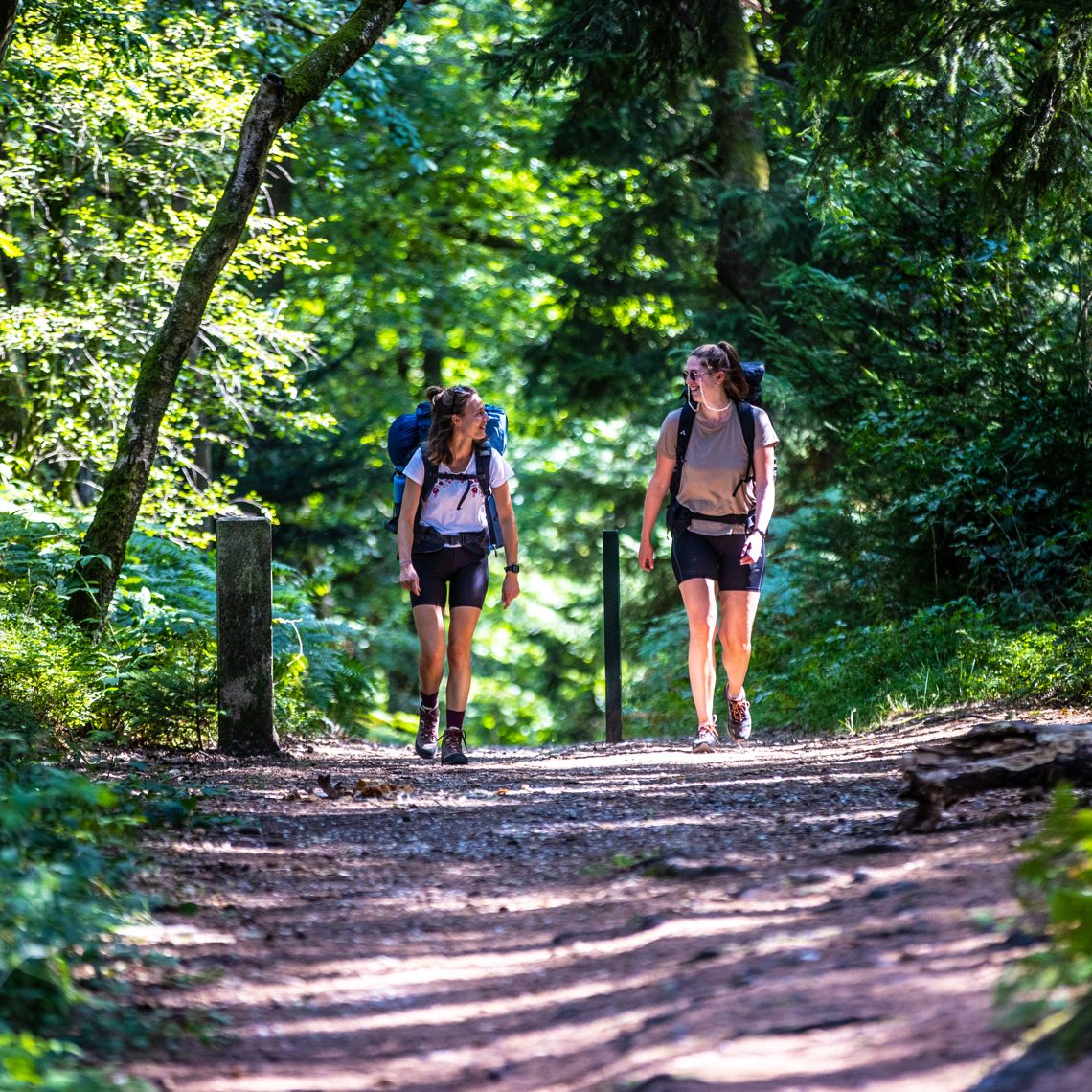 Top 10 onverharde wandelroutes in Zuid-Limburg