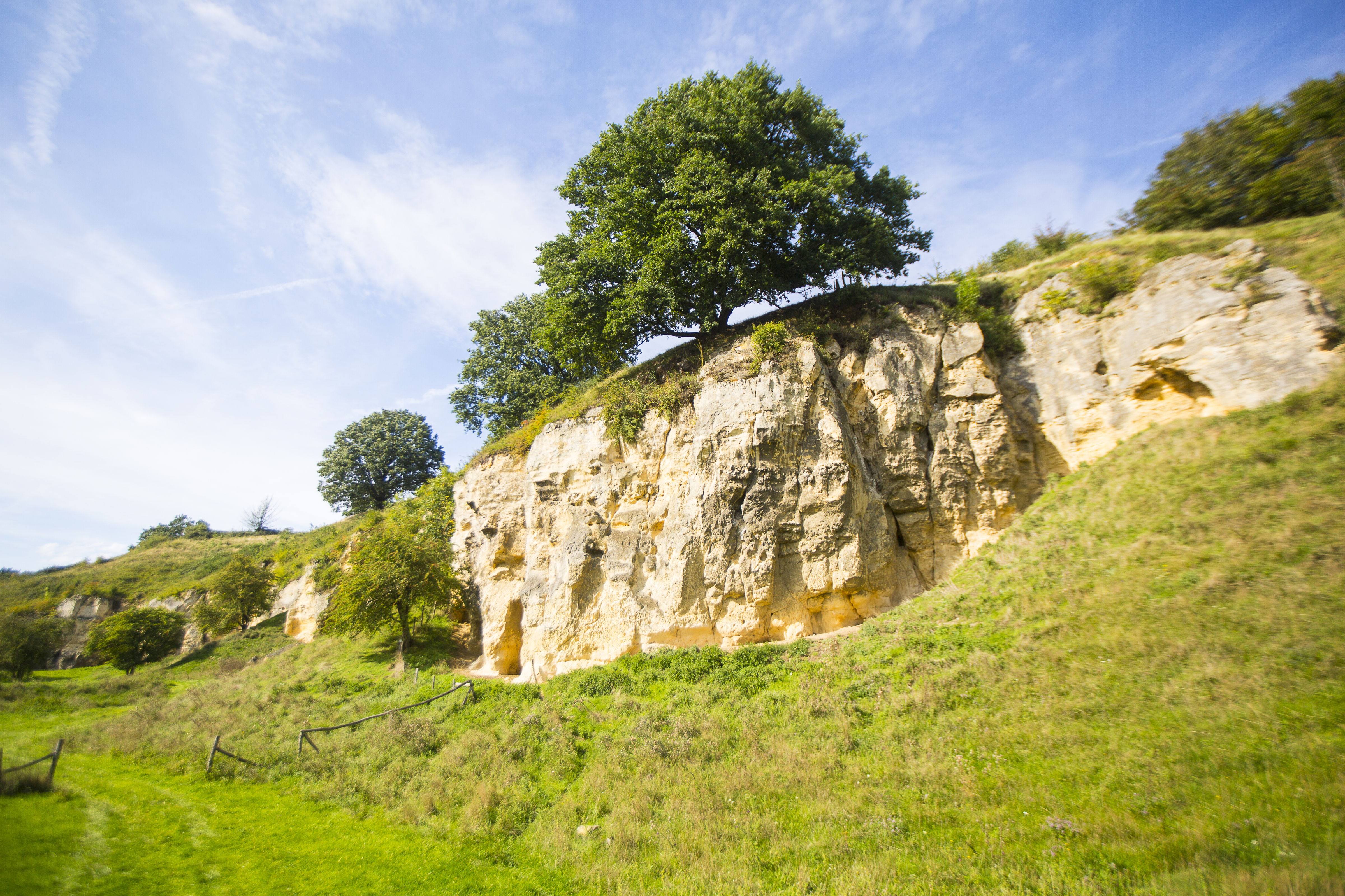 Natuur & Landschap