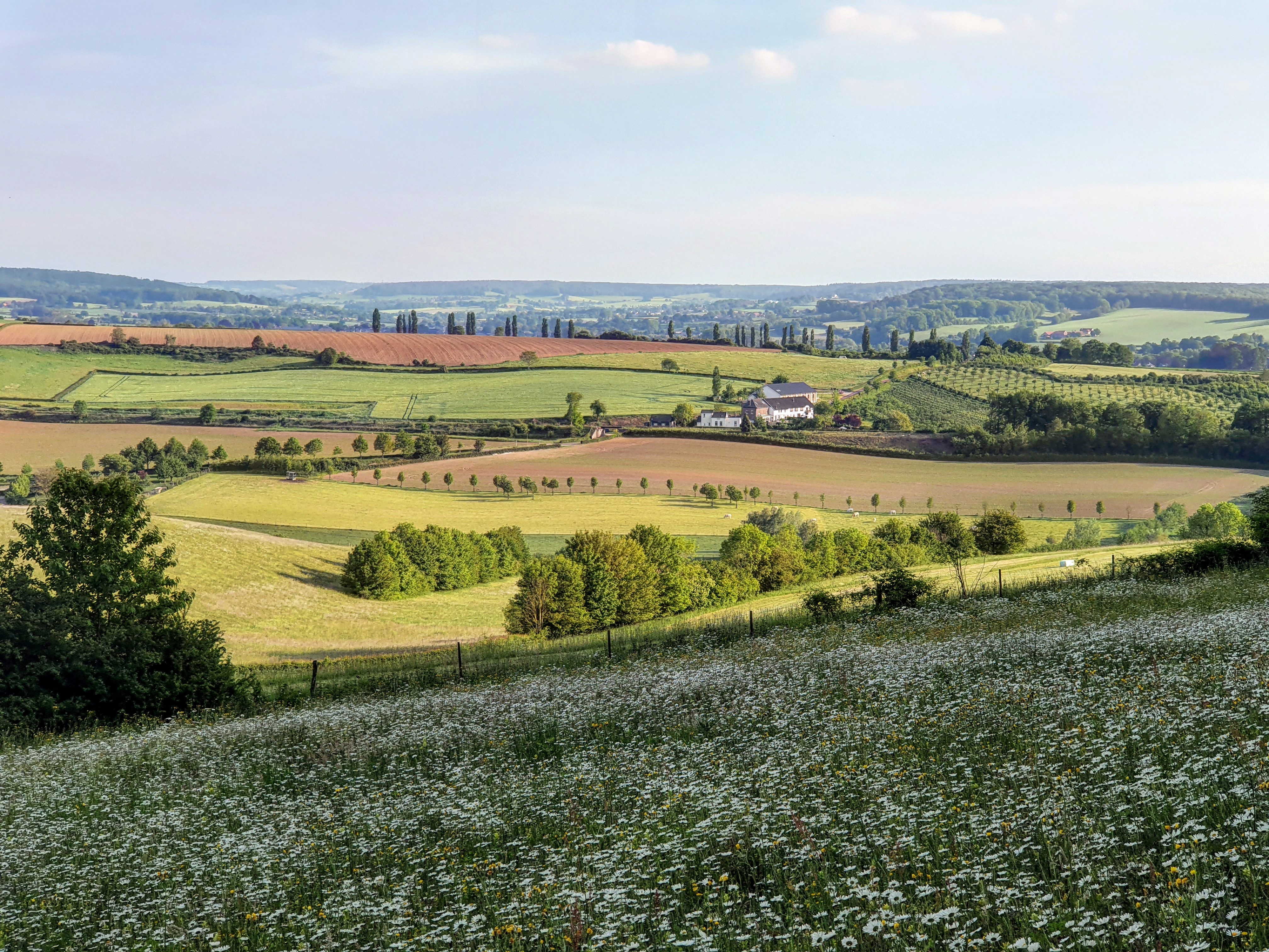 Natuur & Landschap