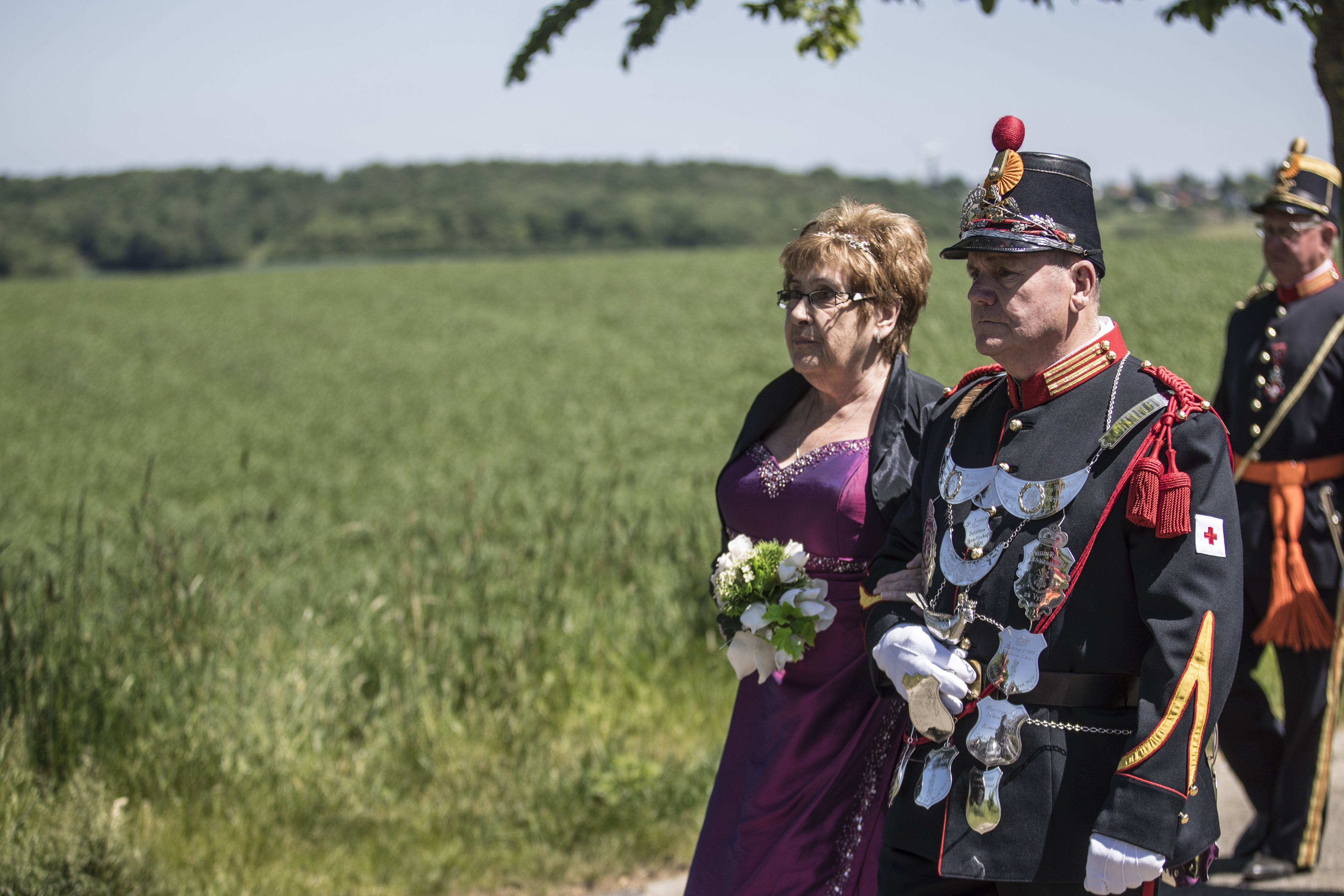 De schutterijen van Zuid-Limburg