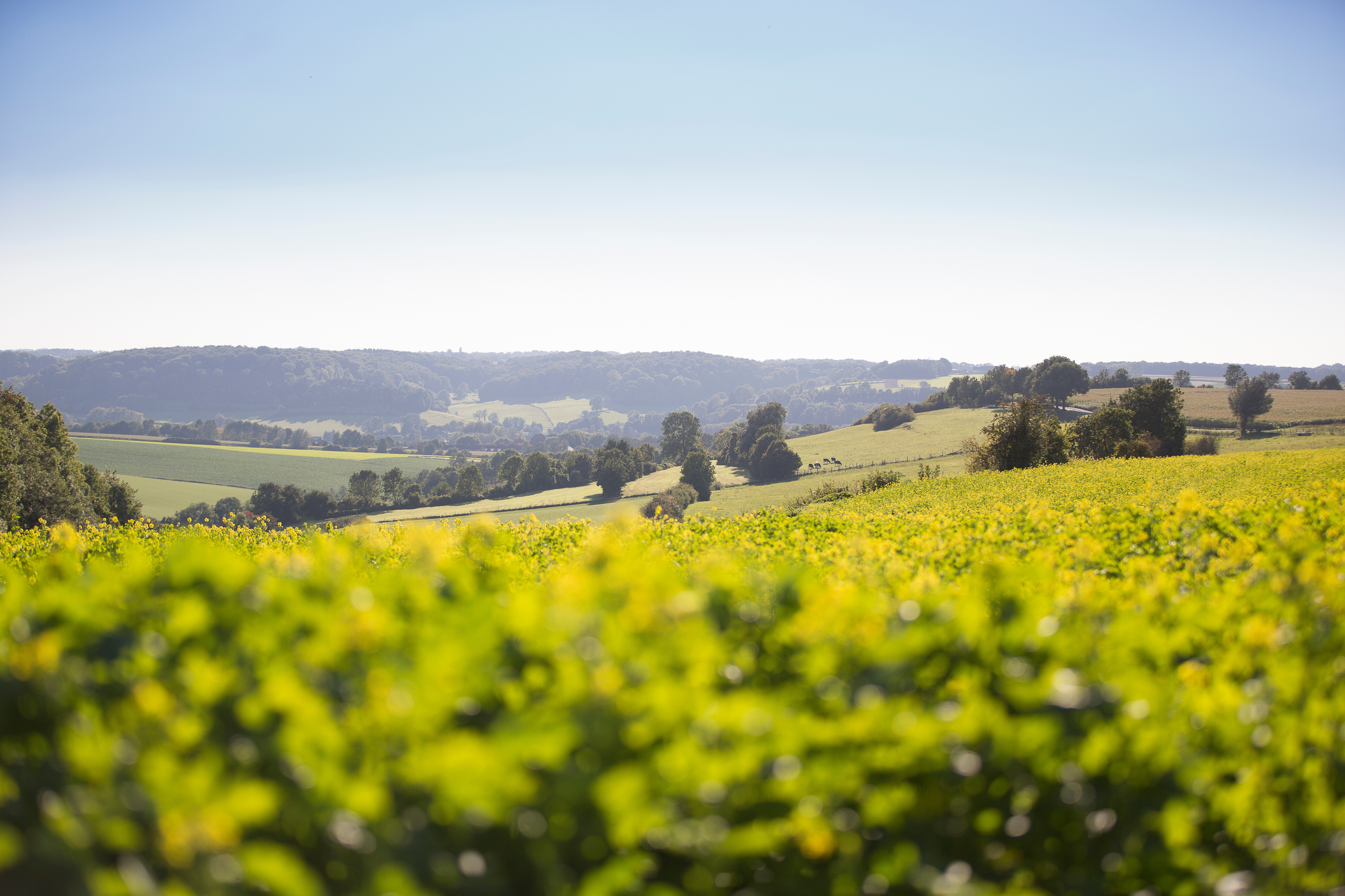 Zuid Limburg | een uniek landschap | dé must see's