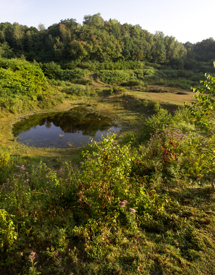 Unieke natuur van Zuid-Limburg | Visit Zuid-Limburg