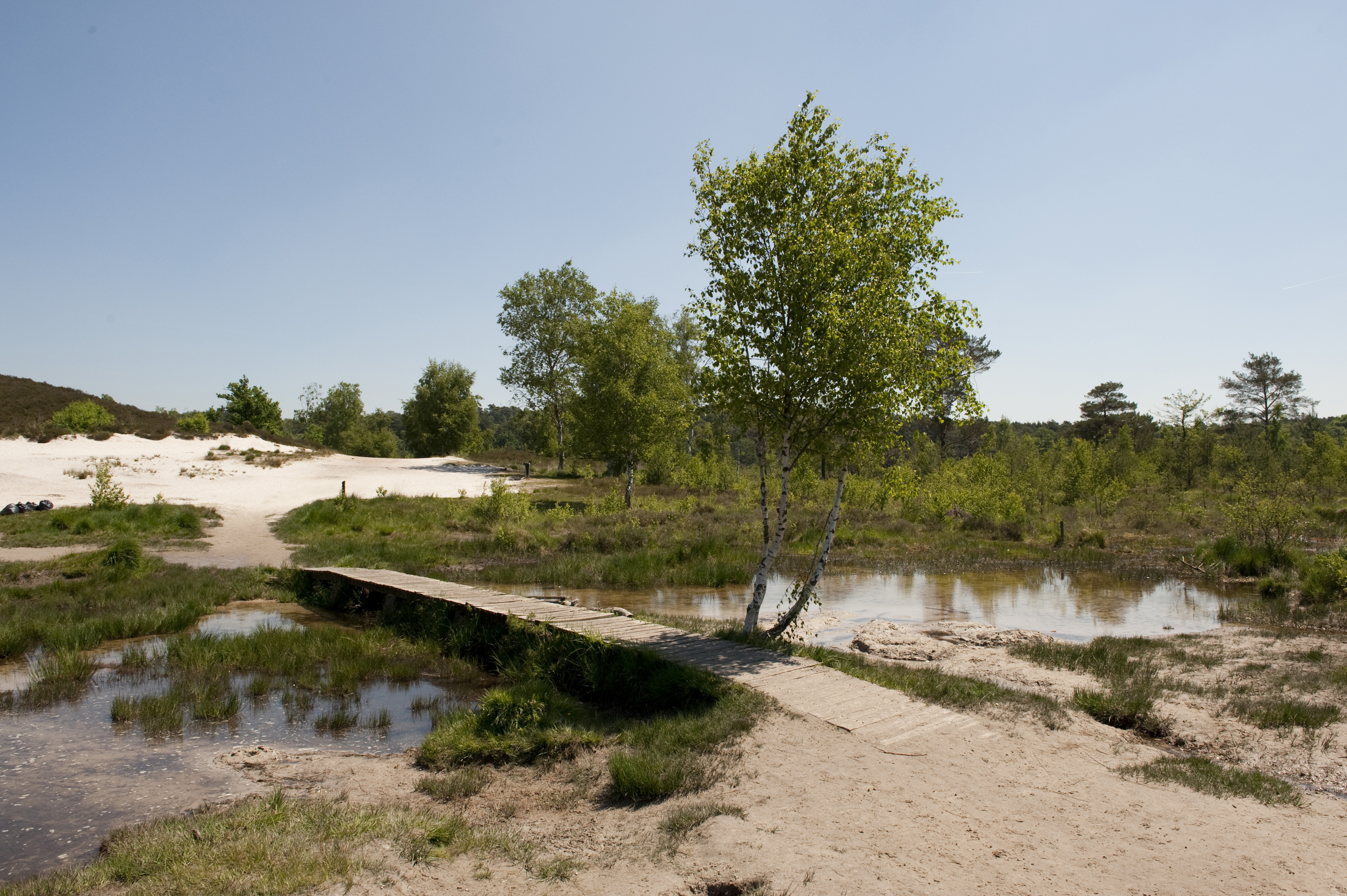 Brunssummerheide | Groene Hotspot
