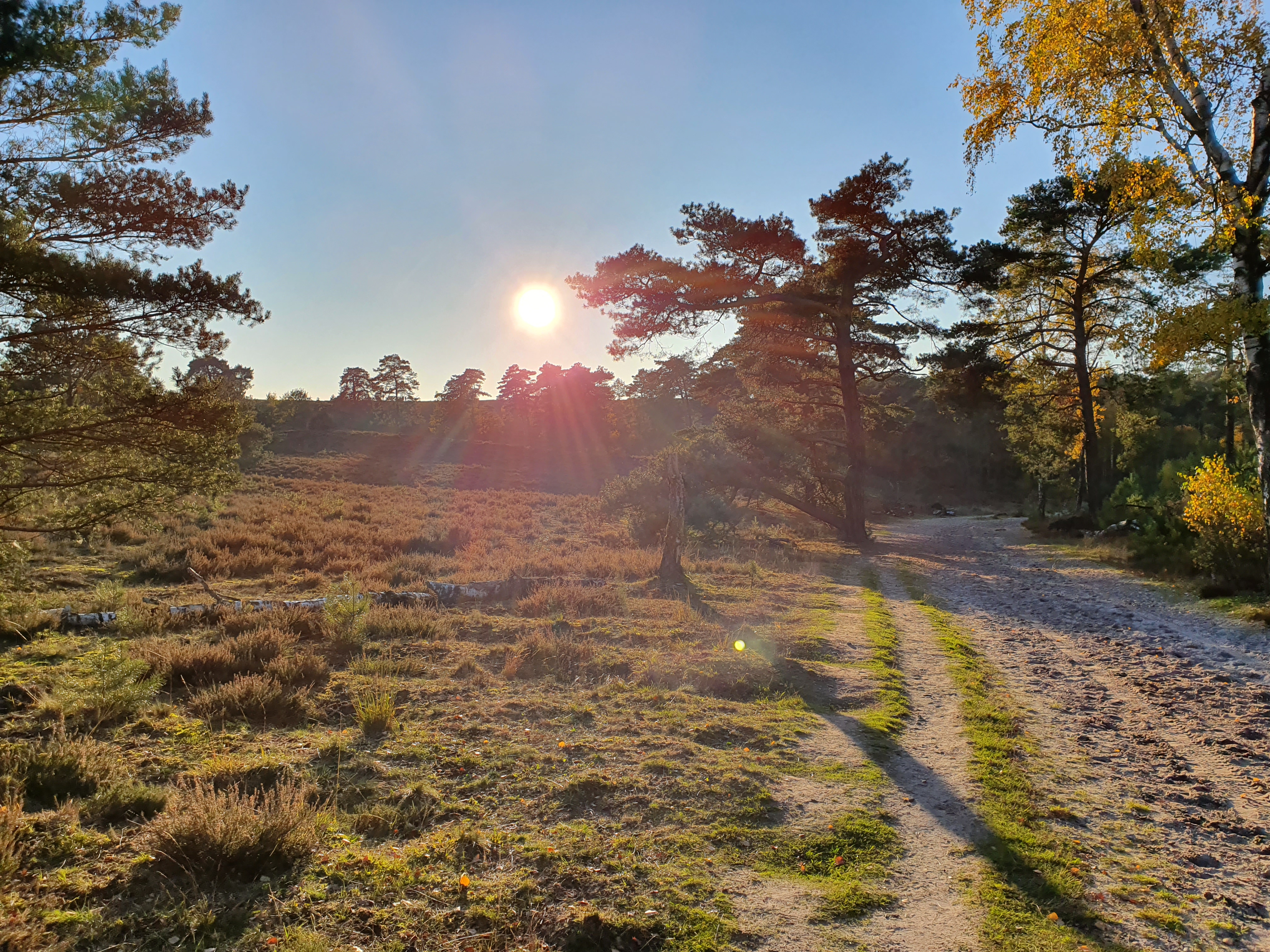 Brunssummerheide | Groene Hotspot