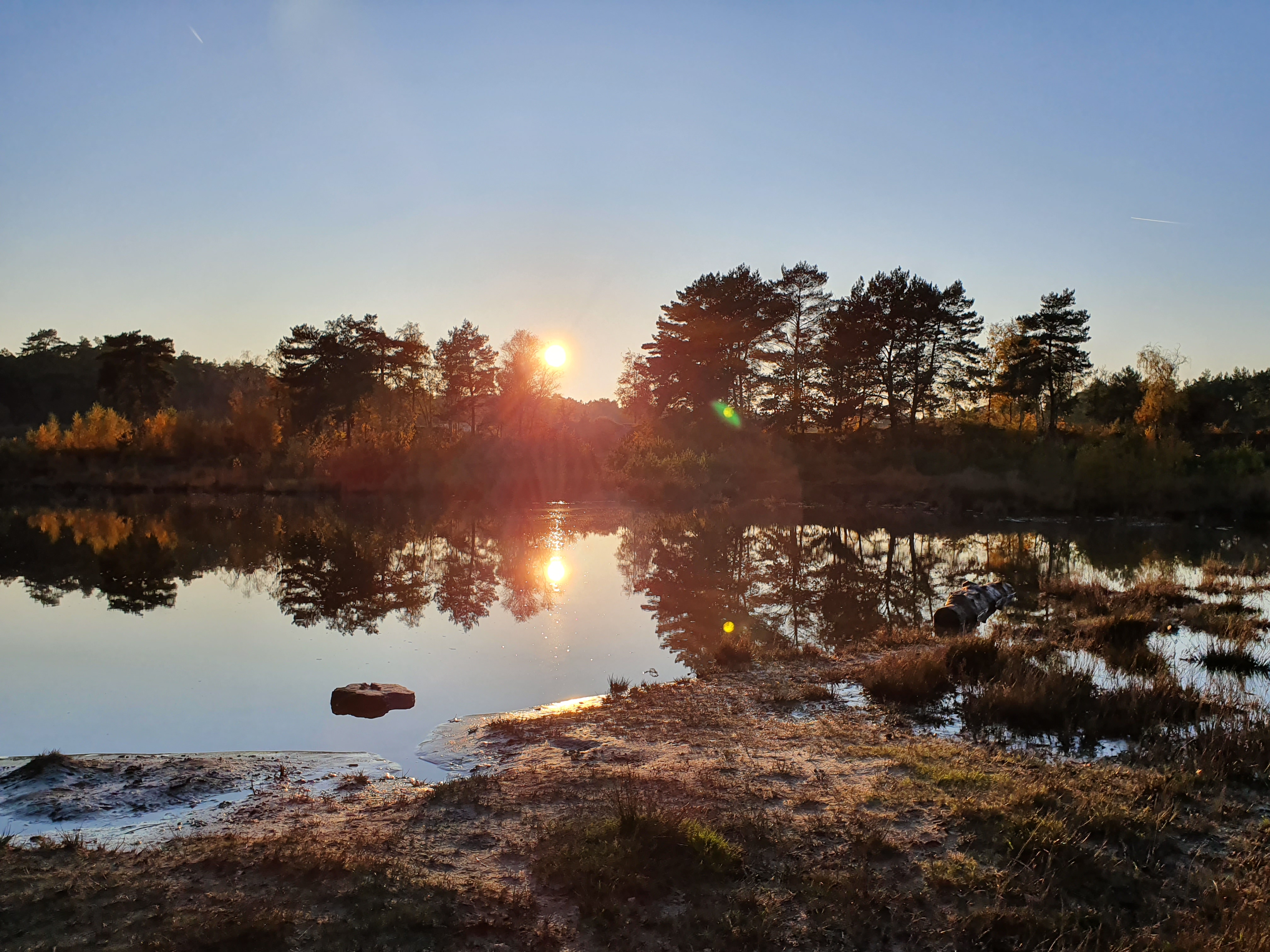 Brunssummerheide | Groene Hotspot