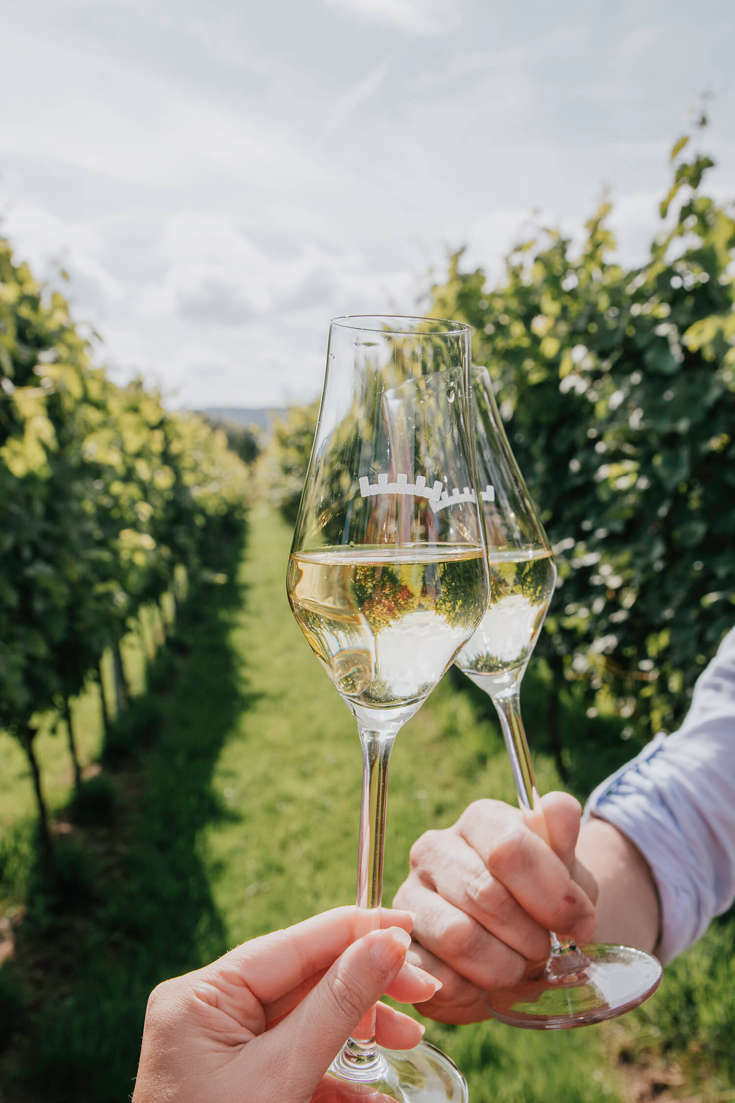 Wijn proeven en kopen in Zuid-Limburg