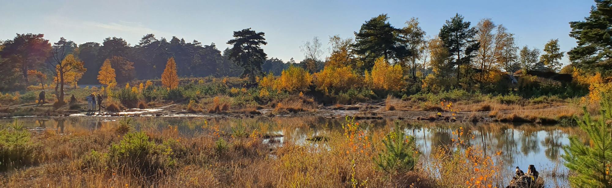 Rivieren, beken en bronnen