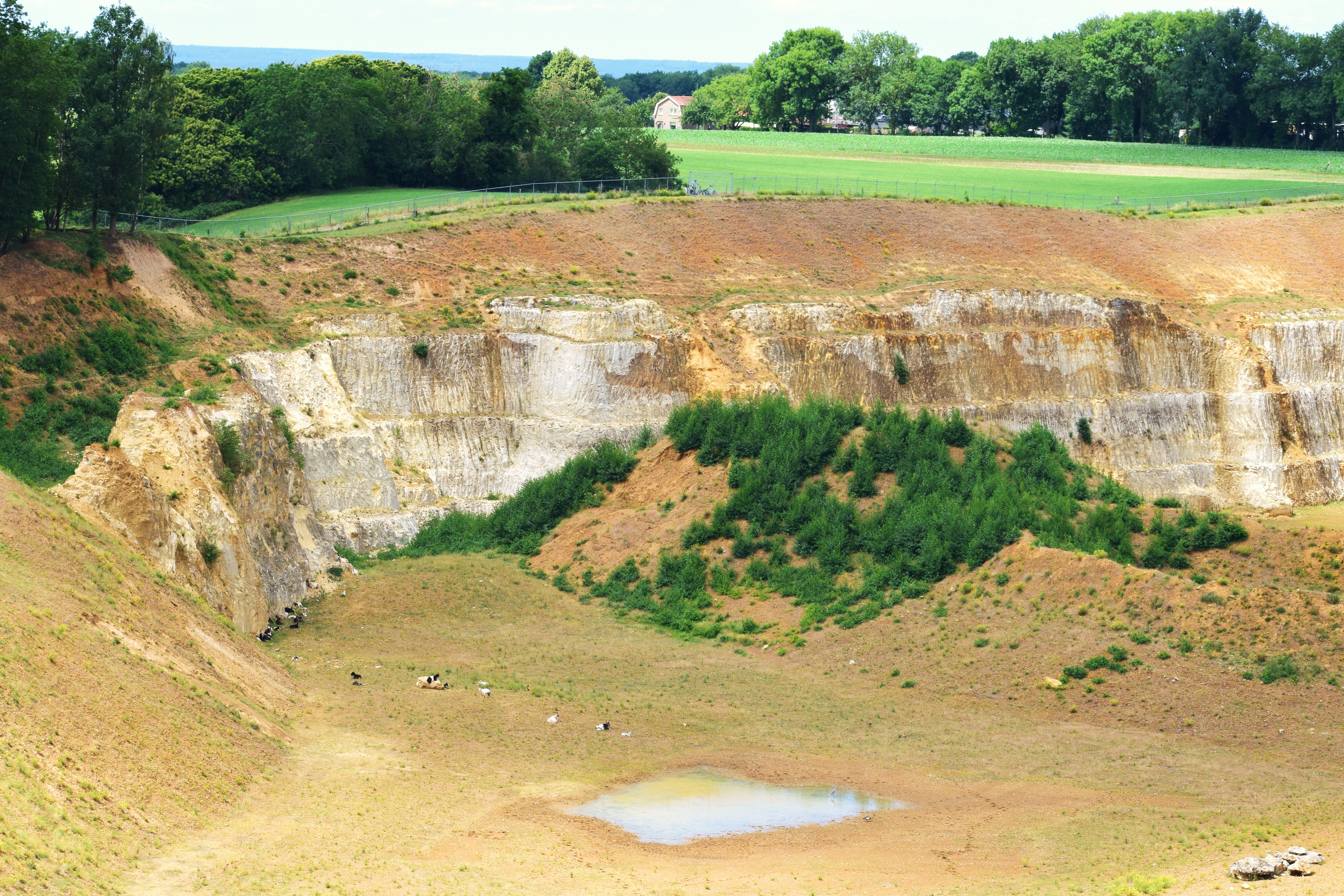 Wandelen met weidse uitzichten over Zuid-Limburg