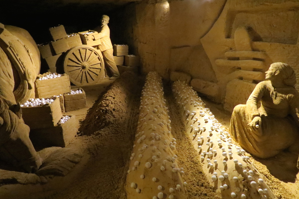 Ondergrondse pracht in de grotten van Valkenburg