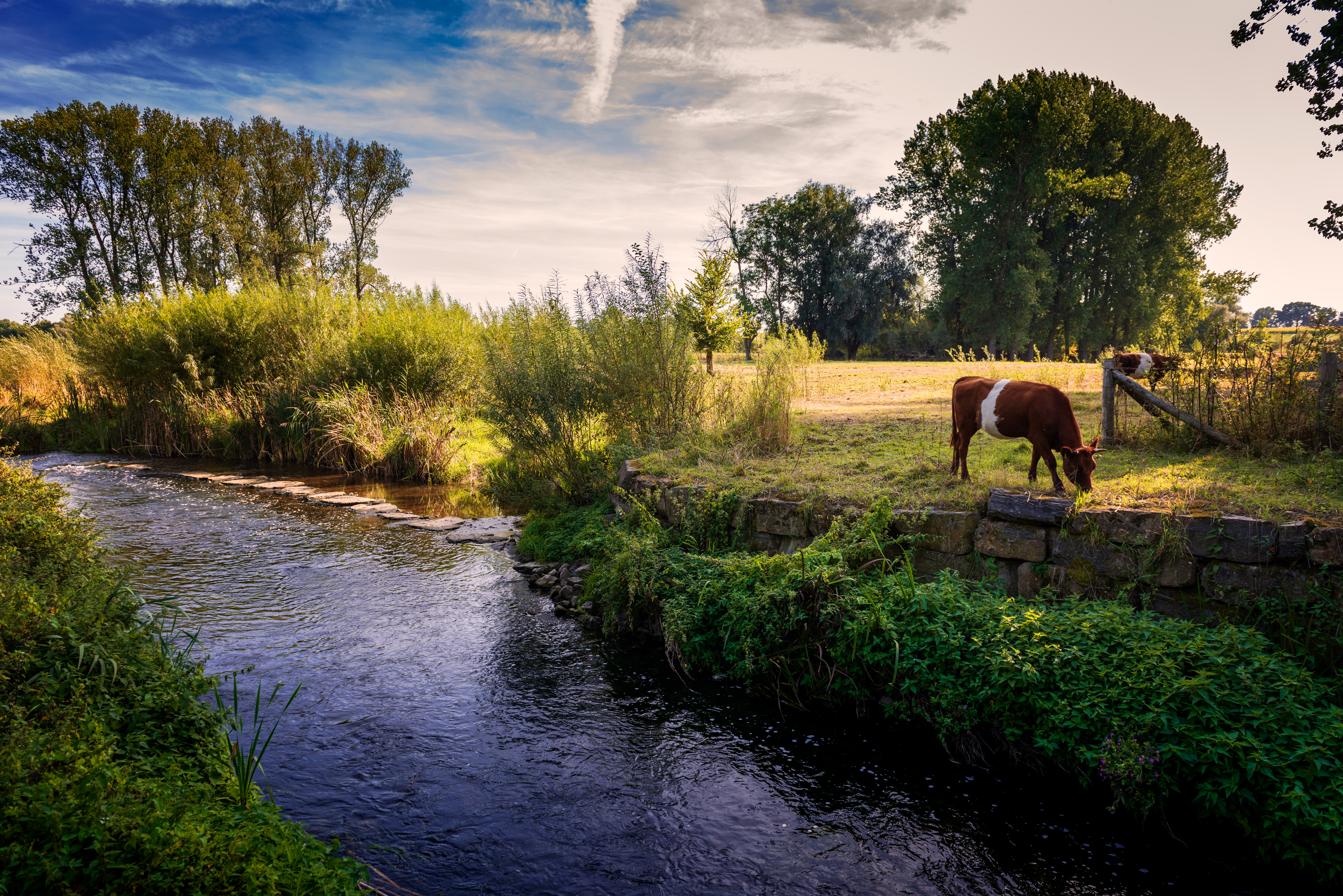 5 insider-tips over het Geleenbeekdal