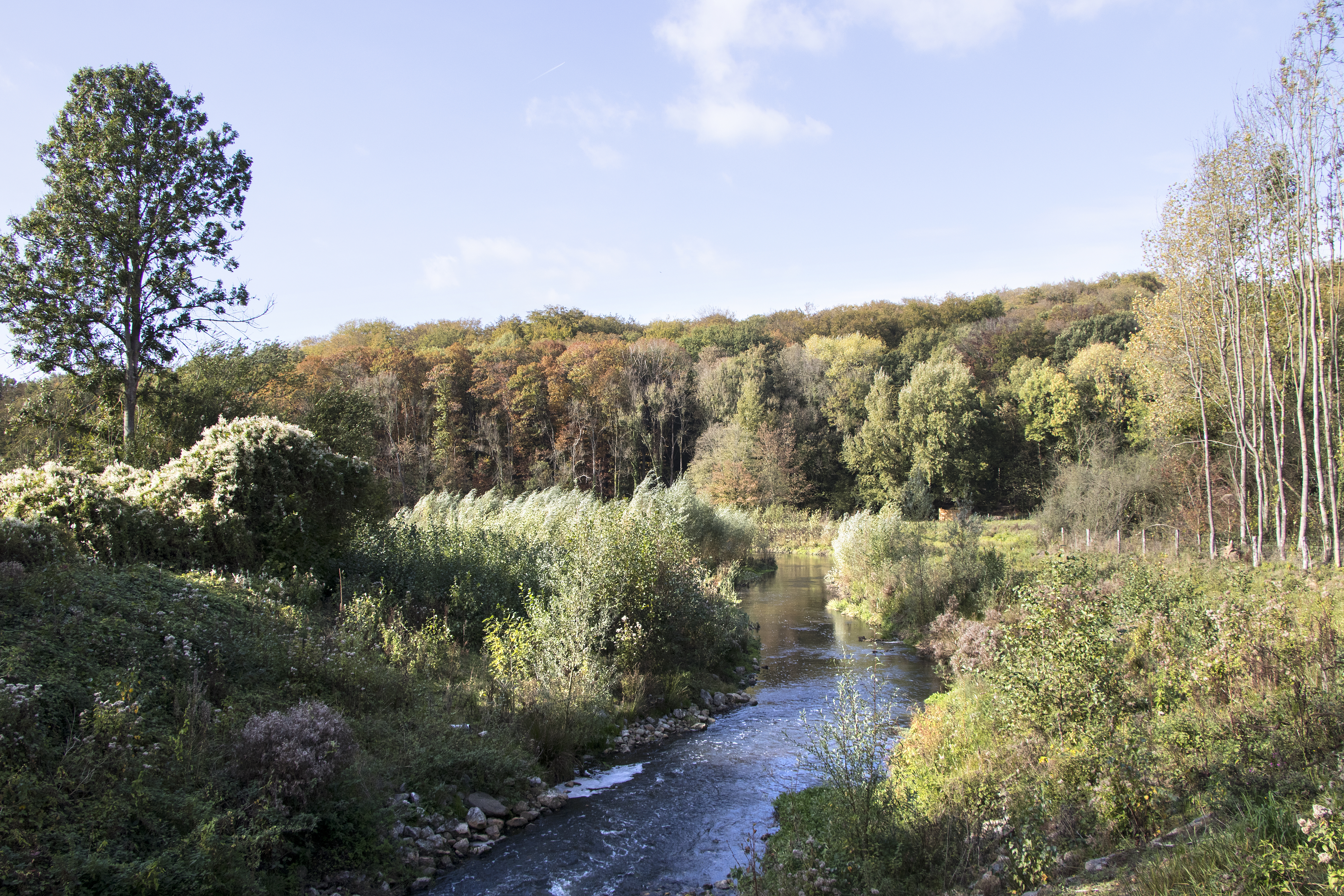 5 insider-tips over het Geleenbeekdal