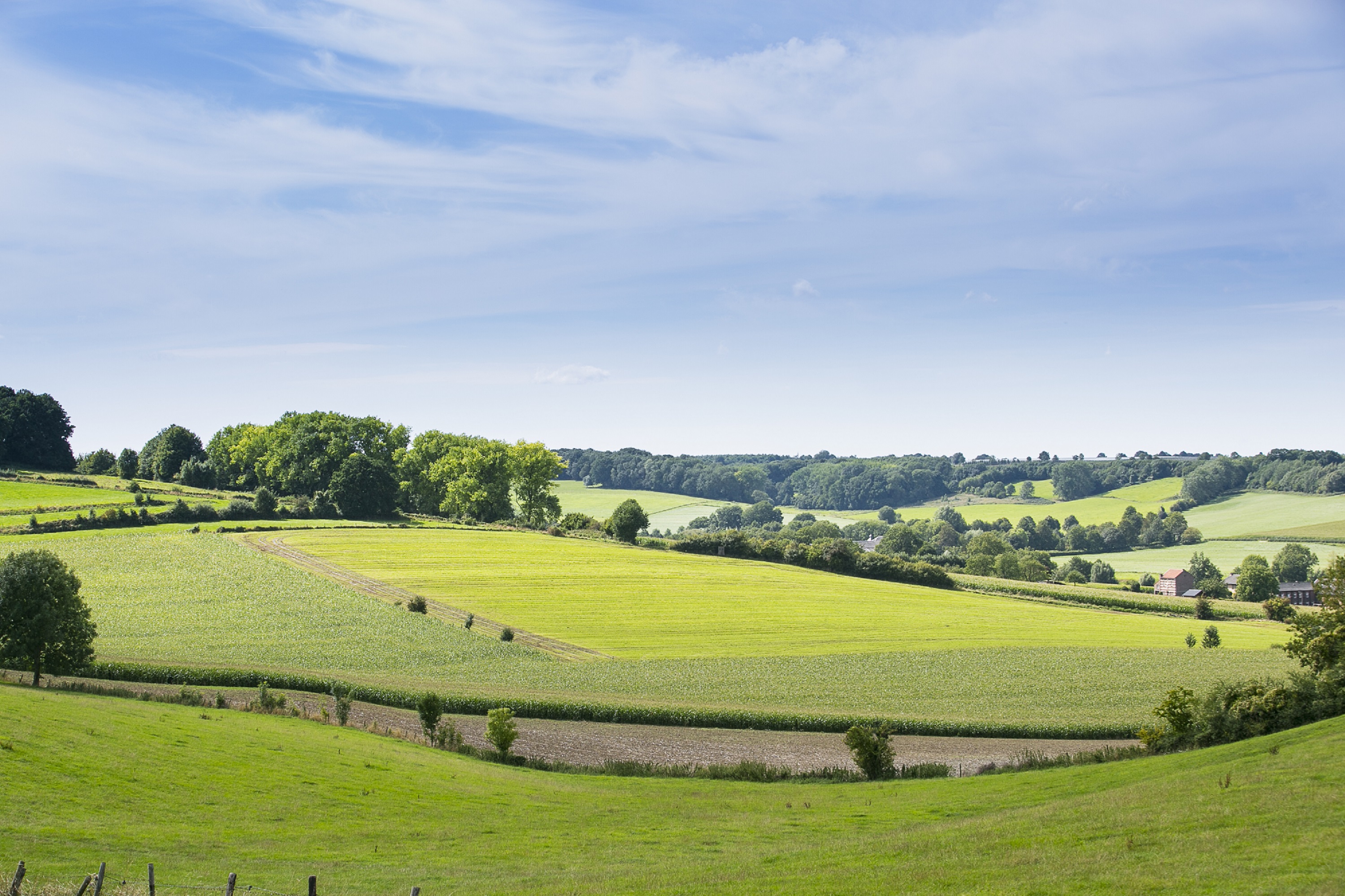 Wandelen door de heuvels van Zuid-Limburg