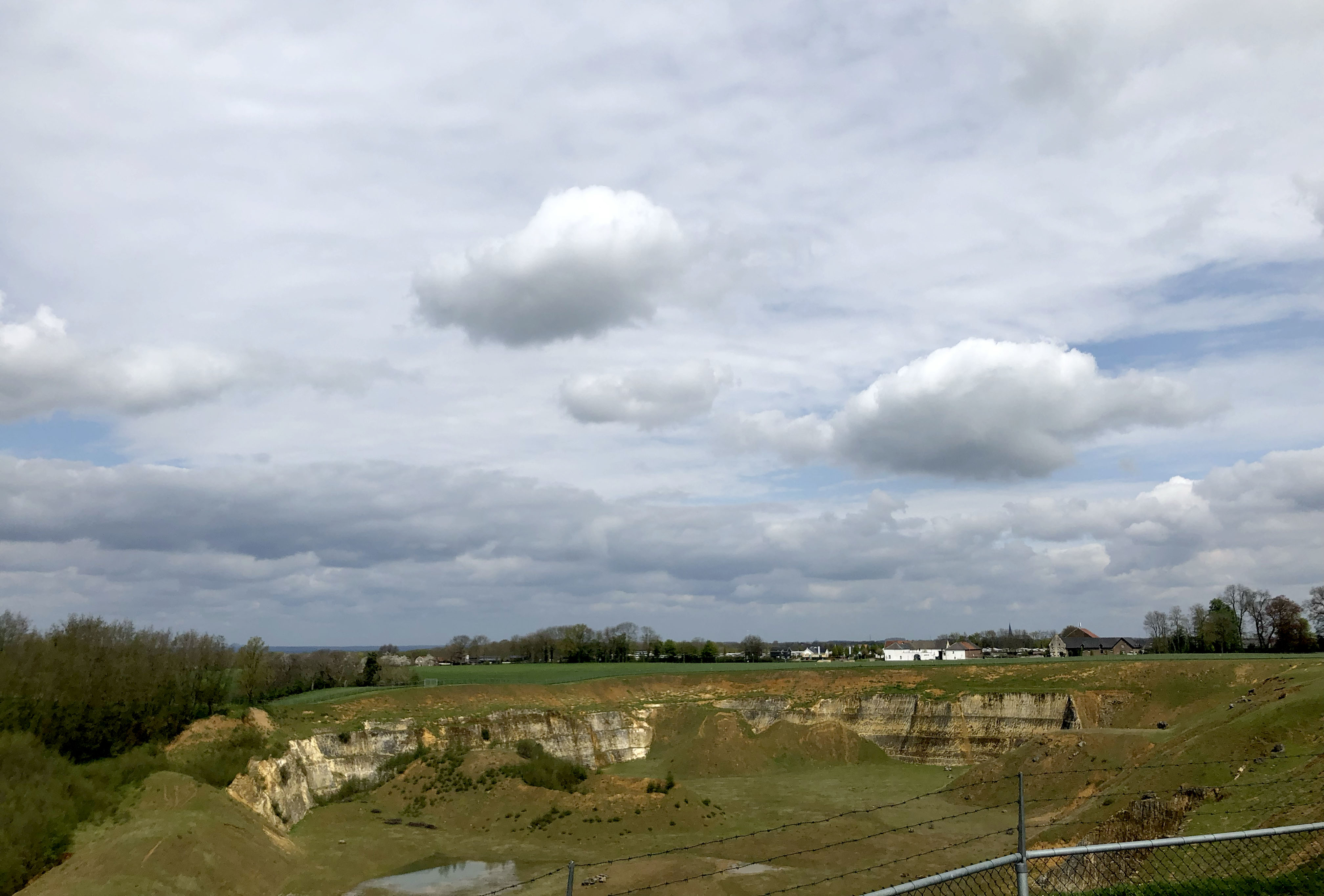 Blog | Koetjes en kuitenbijters langs de Krijtfietsroute